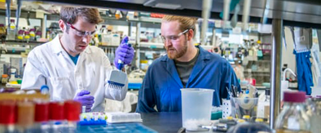 Abstract Development Guidelines in Biomedical Sciences